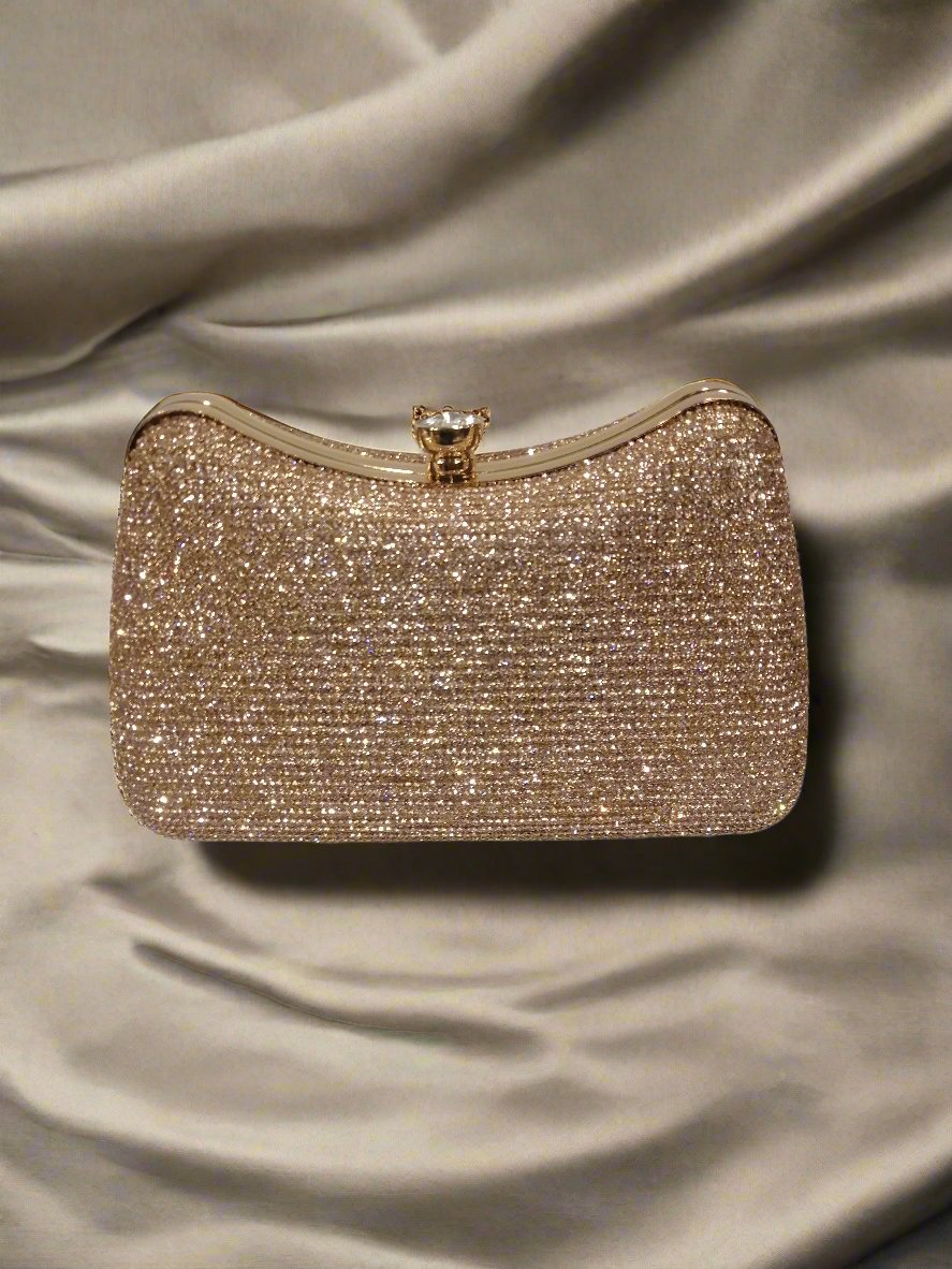 All Fancy Clutch for Ladies/Millilegacy.com